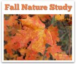 Fall Nature Study - Homeschool Review Crew