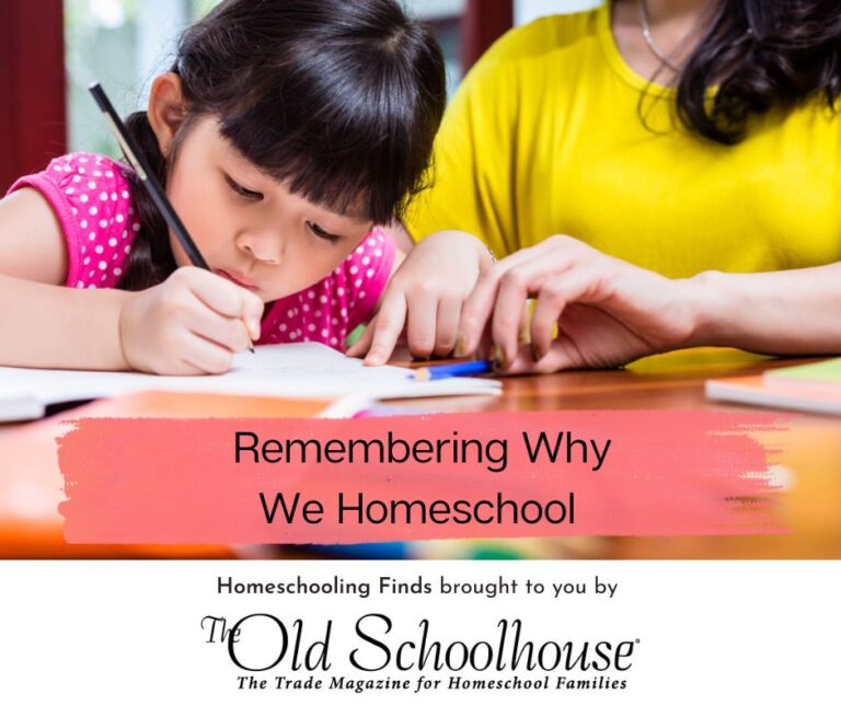 Remembering Why We Homeschool - HomeschoolingFinds.com