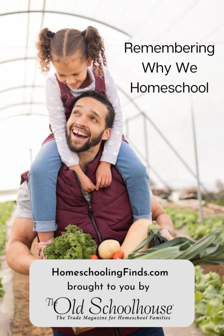 Remembering Why We Homeschool - HomeschoolingFinds.com
