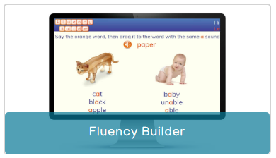 Early and Catch-Up Intervention with Dyslexia Gold